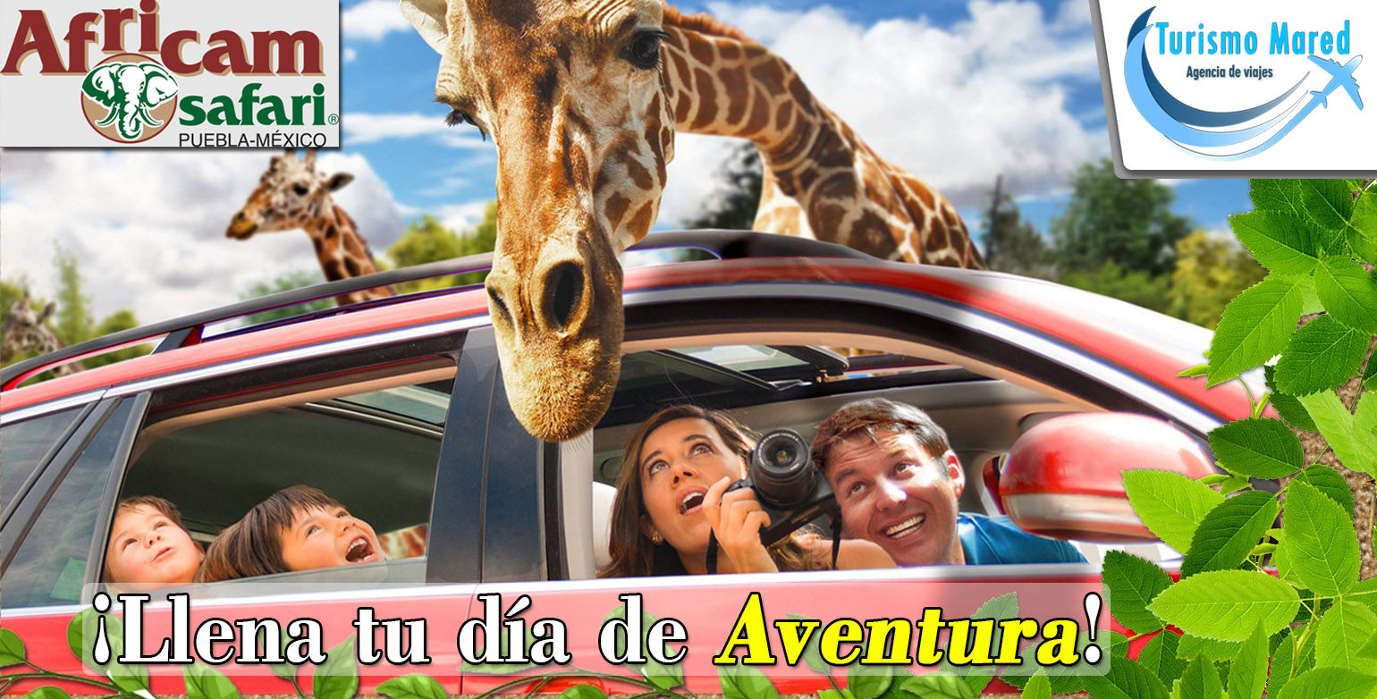Turismo Mared - ¡AFRICAM SAFARI PUEBLA!