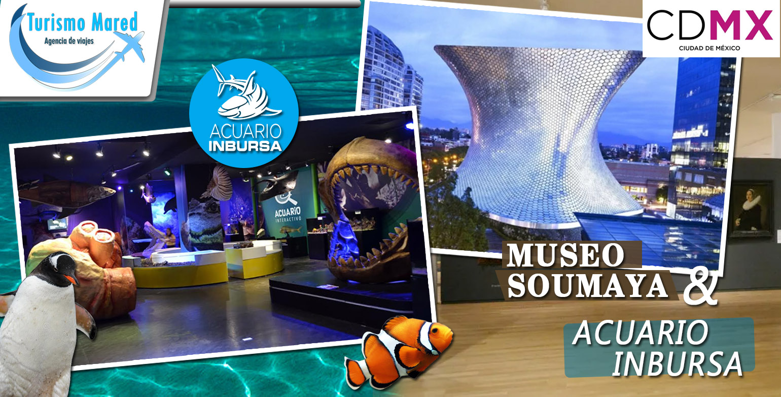 Turismo Mared - ACUARIO INBURSA + MUSEO SOUMAYA